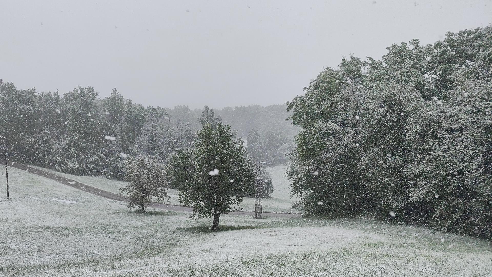 Slovenija | Najdi.si novice
